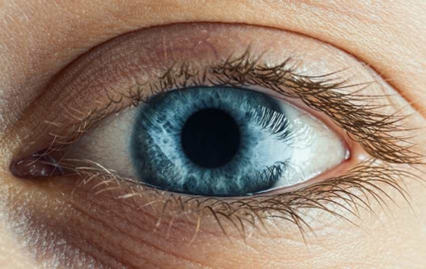 Iride: cosa è e come funziona - Querzo